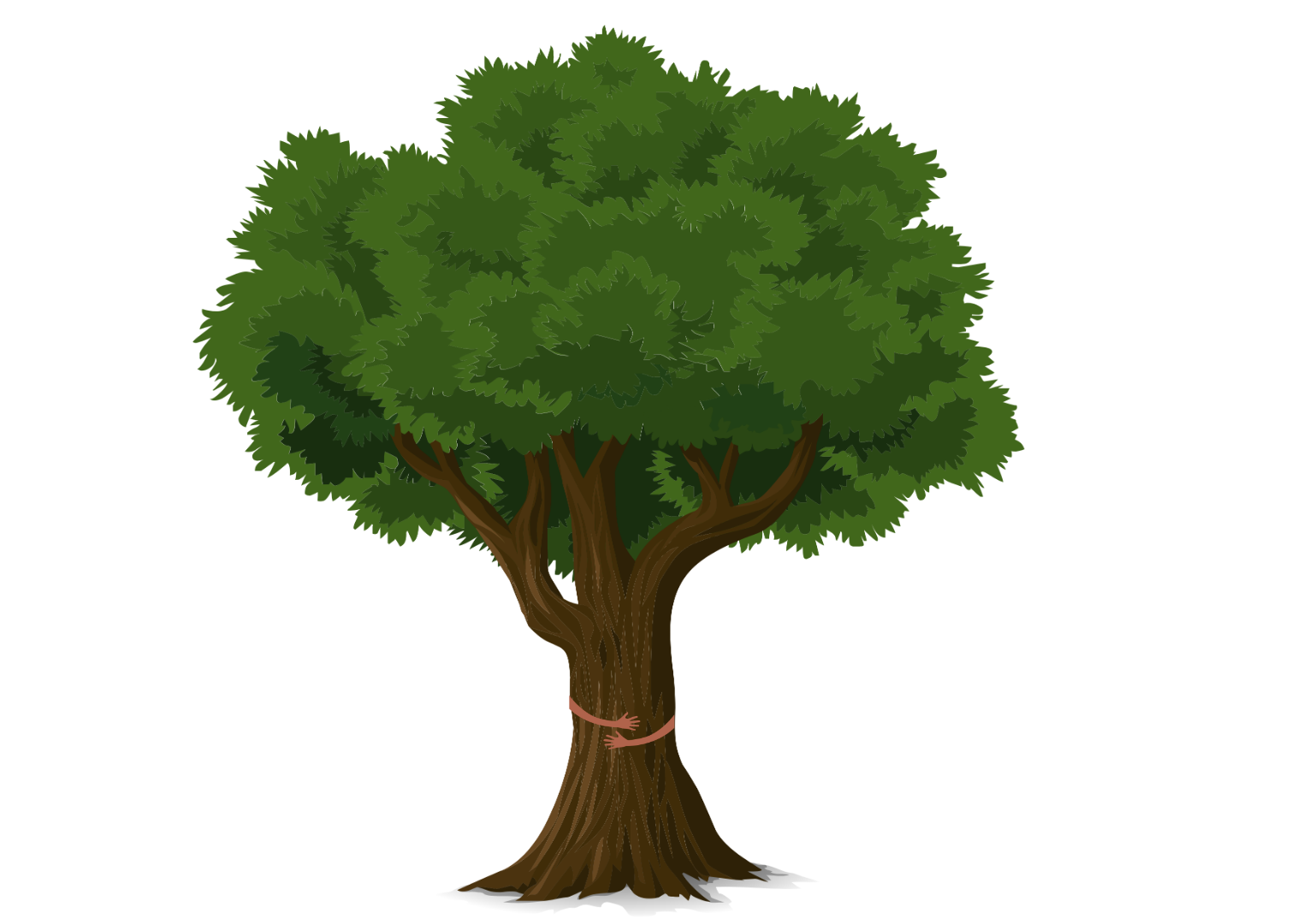 Why Hugging Trees Isn't Just for Hippies: The Surprising Benefits of S ...