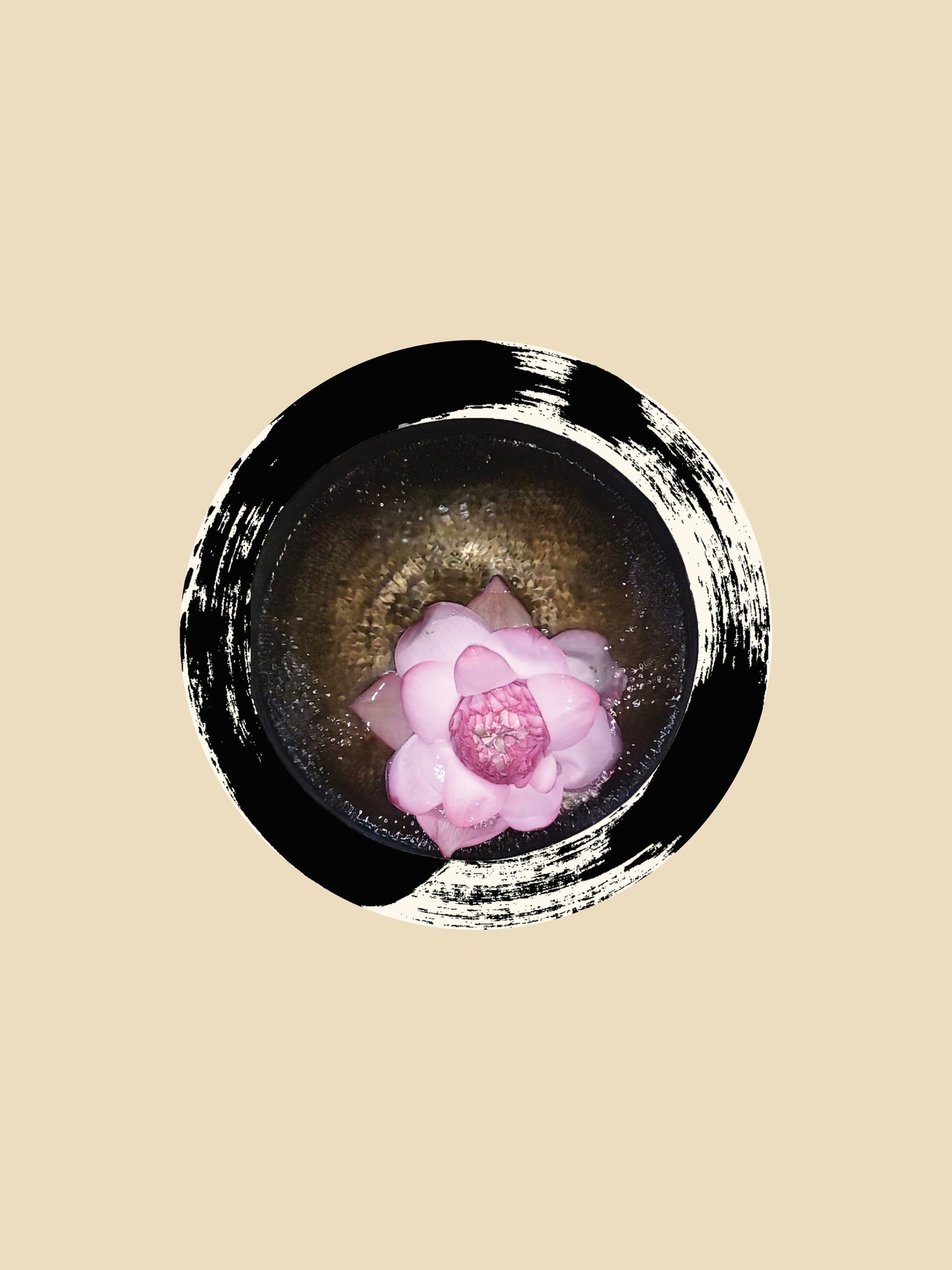 Bloop | Live Mindfully | Mission